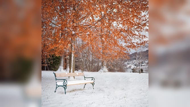 Remembering First Snow - The Moya View