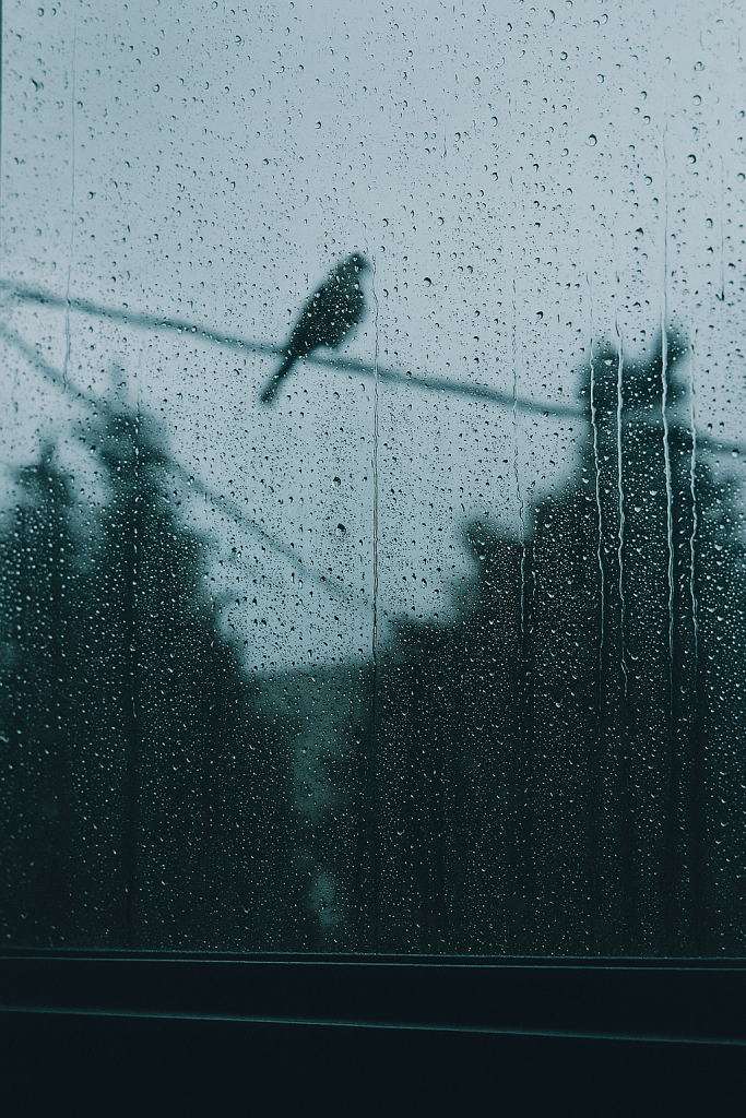 Someone Passes at 8 a.m. and the Birds Do Not Sing - The Moya View